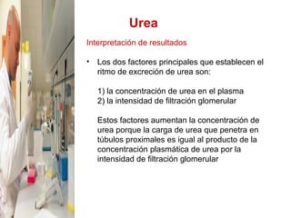 Urea | PPT