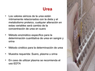 Urea | PPT