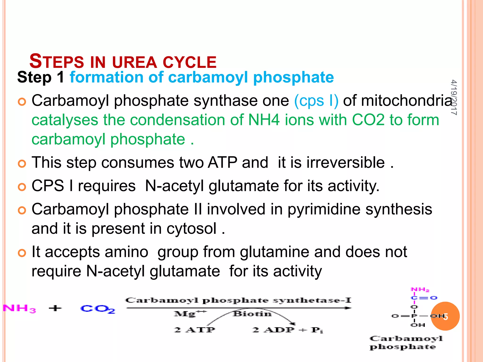 Urea and Uric acid | PPTX
