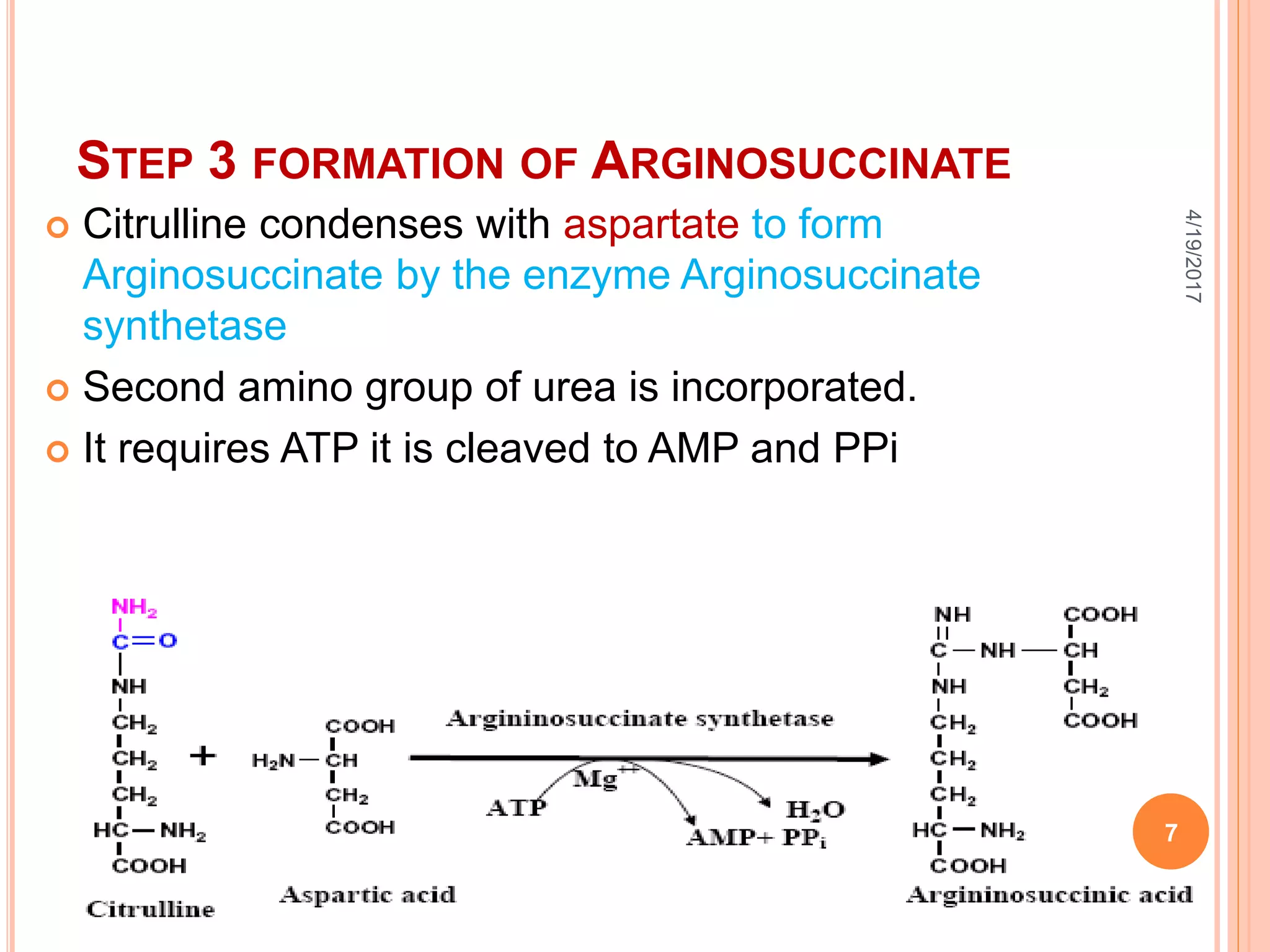 Urea and Uric acid | PPTX