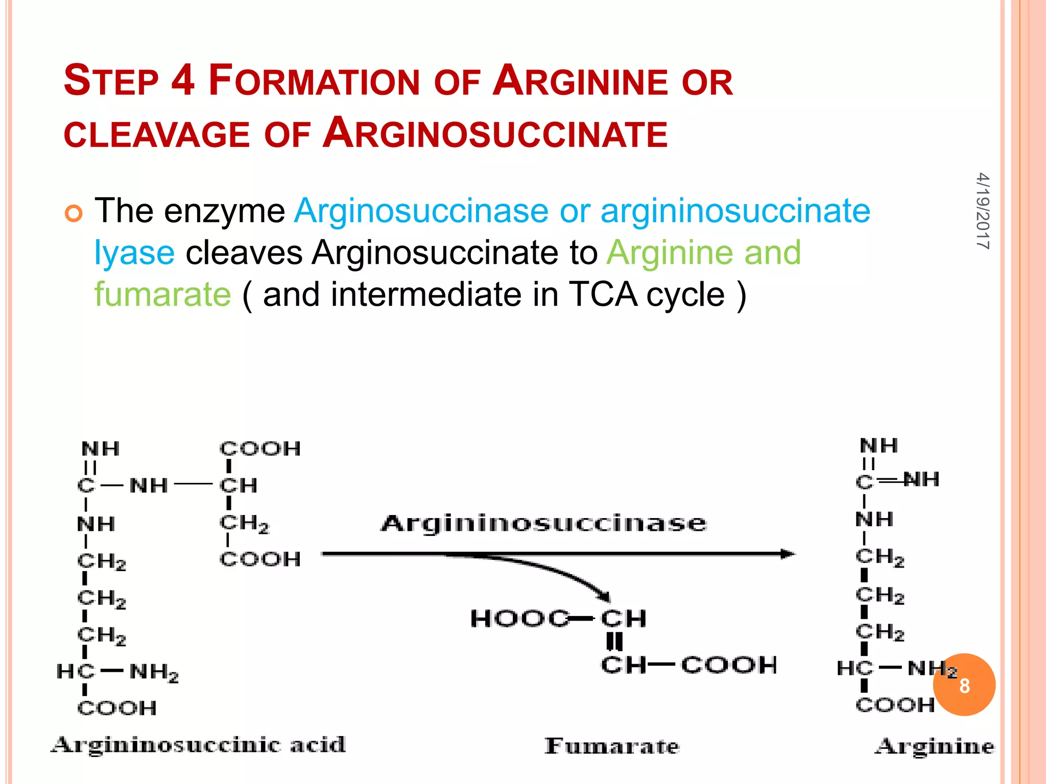 Urea and Uric acid | PPTX