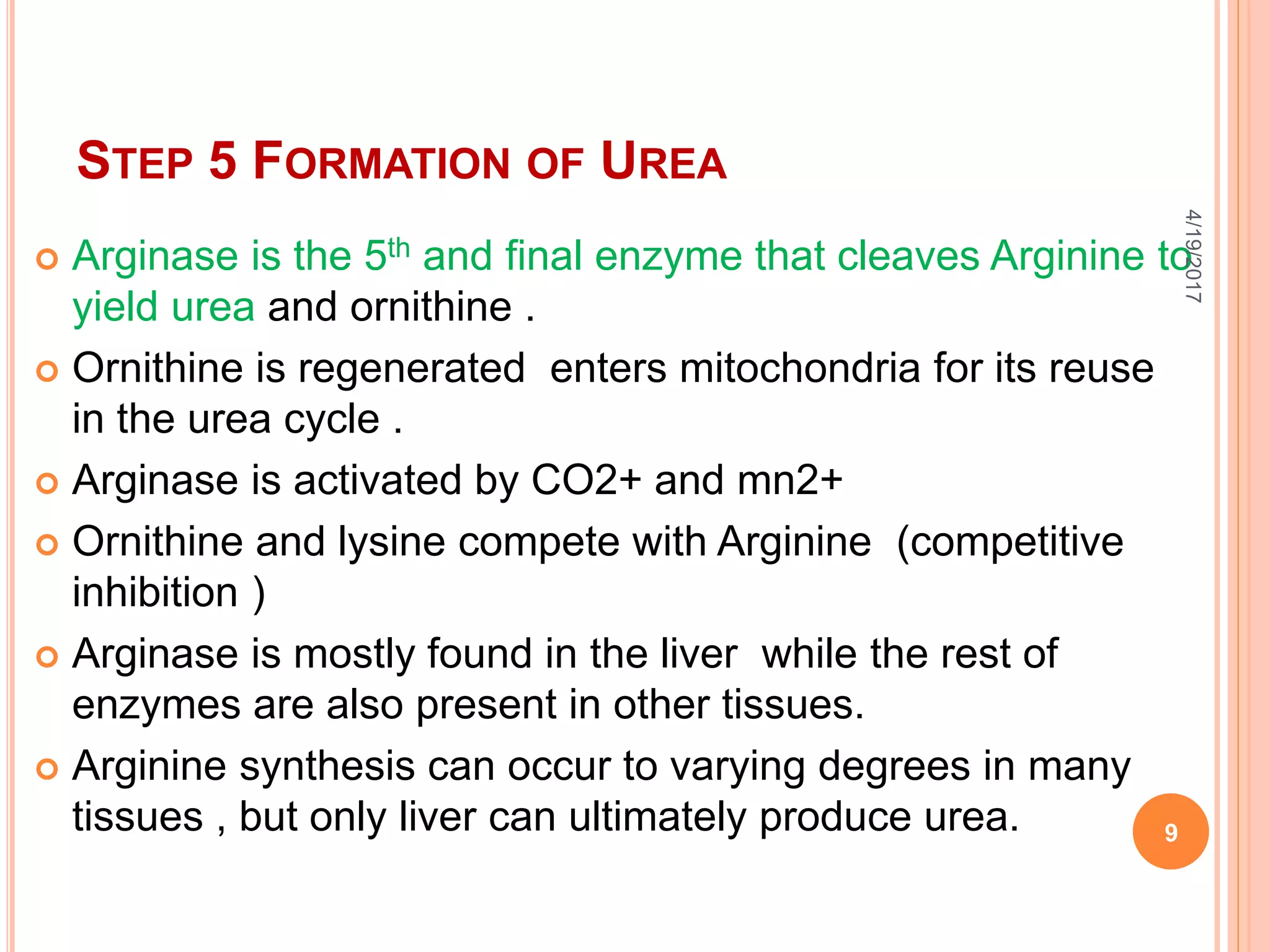Urea and Uric acid | PPTX