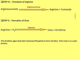 Urea and Uric acid | PPTX