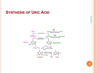 Urea and Uric acid | PPTX