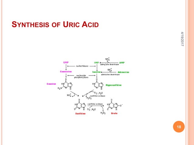 Urea and Uric acid | PPTX