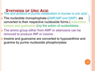 Urea and Uric acid | PPTX