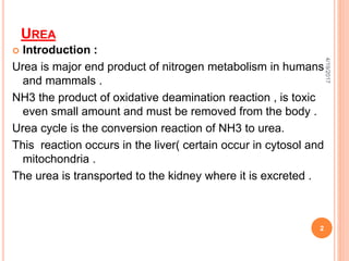 Urea and Uric acid | PPTX