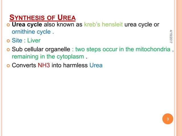 Urea and Uric acid | PPTX