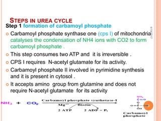 Urea and Uric acid | PPTX