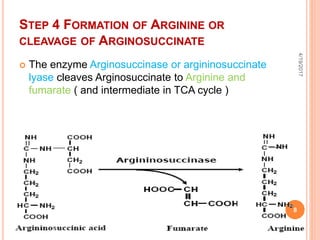 Urea and Uric acid | PPTX