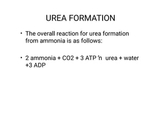 urea 1.pdf
