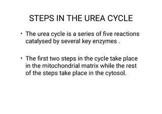 urea 1.pdf