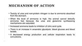 Urea And ammonia toxicity.pptx