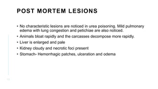 Urea And ammonia toxicity.pptx