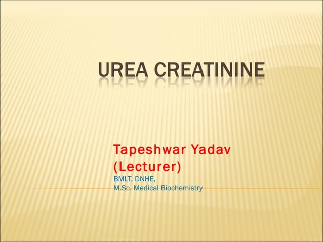 Urea creatinine | PPT | Blood Disorders | Diseases and Conditions