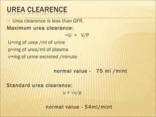 Urea creatinine | PPT