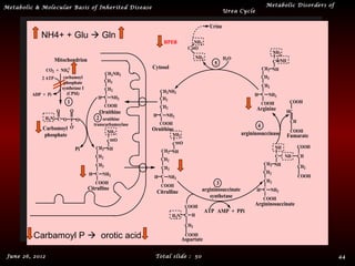 Urea Cycle Orotic Acid