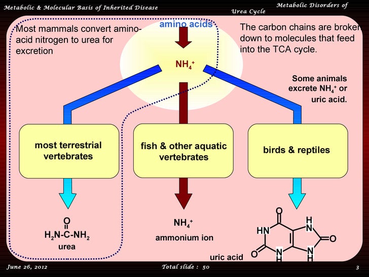Urea Uric Acid Are These Two Compounds The Same