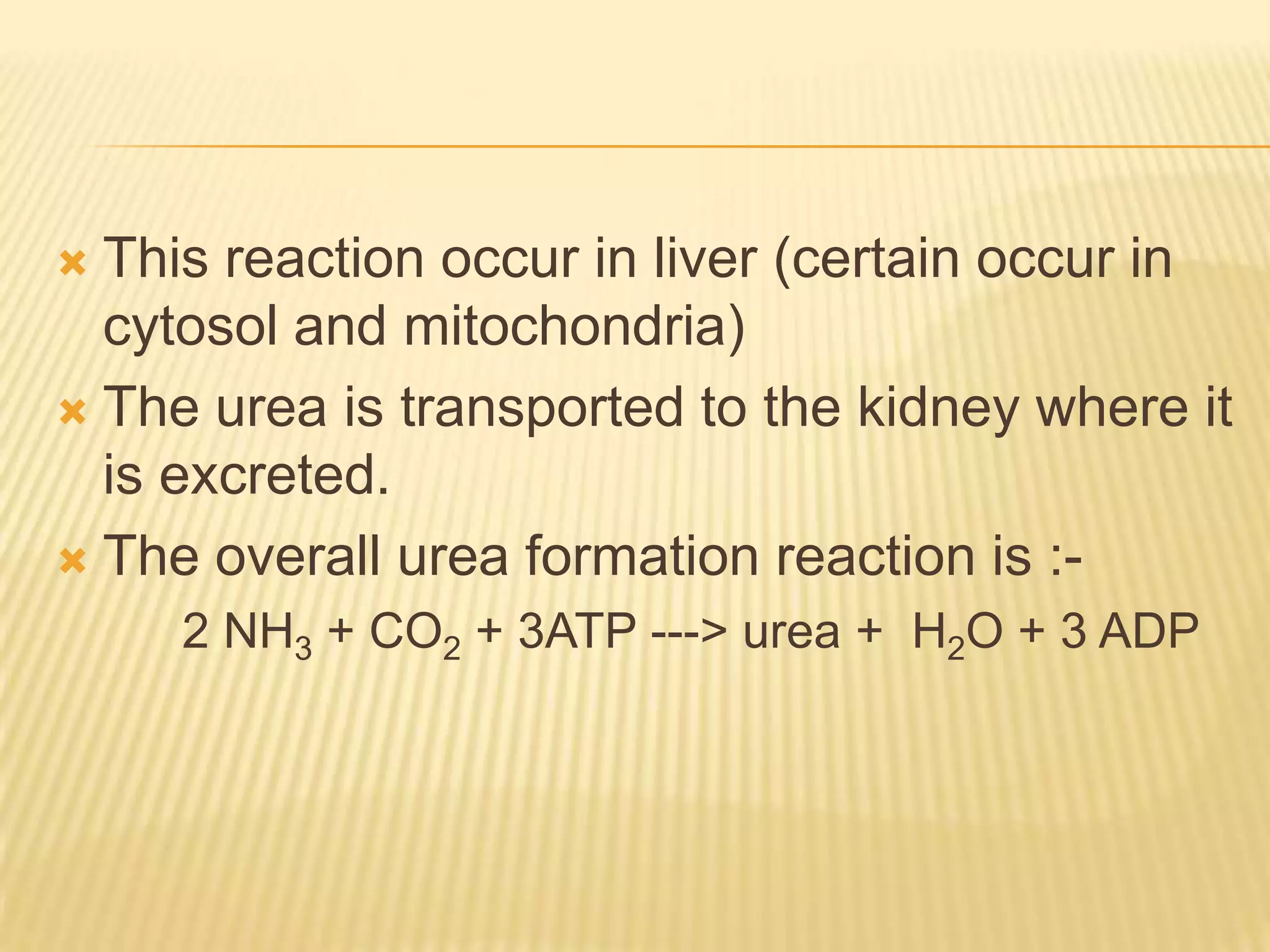 Urea cycle | PPTX