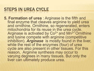 Urea cycle | PPTX