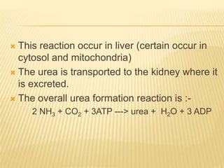 Urea cycle | PPTX