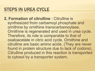 Urea cycle | PPTX