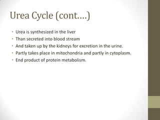 Urea cycle | PPTX | Chemistry | Science