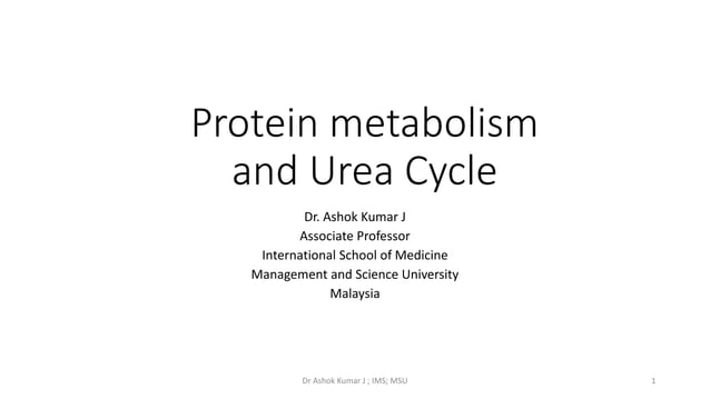 Formation of ammonia and Urea cycle by Dr. Ashok Kumar J | PPTX ...