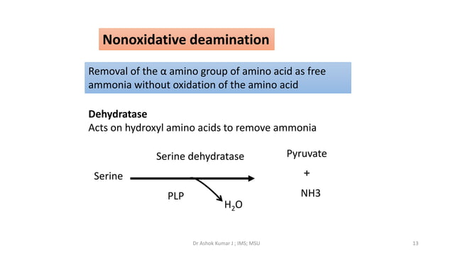 Formation of ammonia and Urea cycle by Dr. Ashok Kumar J | PPTX ...