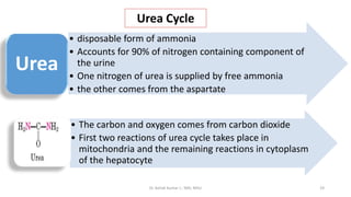 Formation of ammonia and Urea cycle by Dr. Ashok Kumar J | PPTX