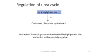 Formation of ammonia and Urea cycle by Dr. Ashok Kumar J | PPTX ...