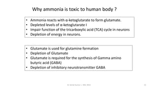 Formation of ammonia and Urea cycle by Dr. Ashok Kumar J | PPTX