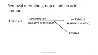 Formation of ammonia and Urea cycle by Dr. Ashok Kumar J | PPTX