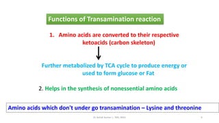 Formation of ammonia and Urea cycle by Dr. Ashok Kumar J | PPTX