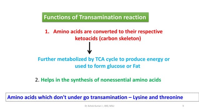 Formation of ammonia and Urea cycle by Dr. Ashok Kumar J | PPTX ...