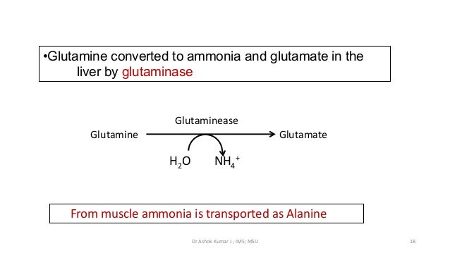 Formation of ammonia and Urea cycle by Dr. Ashok Kumar J