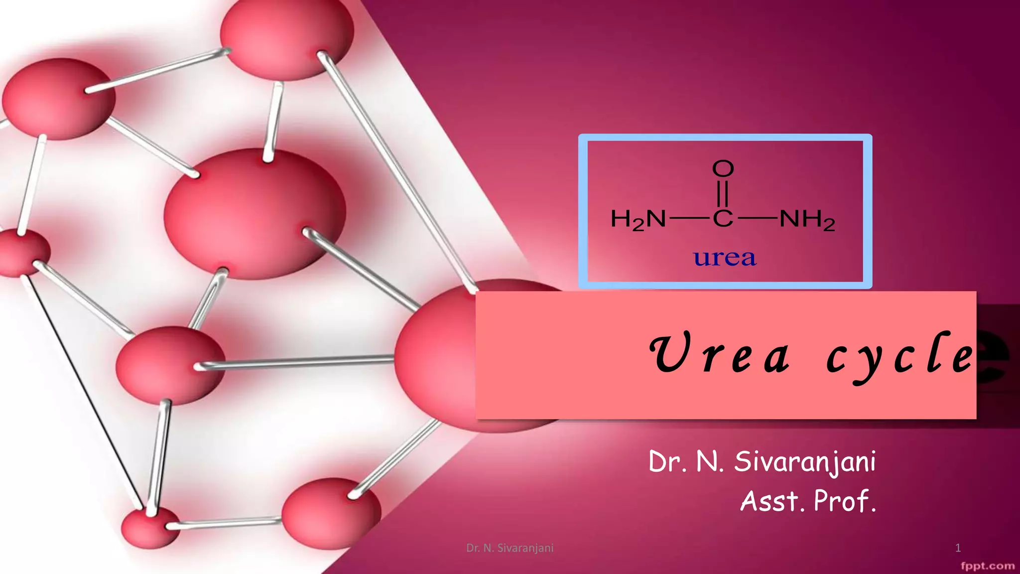 Urea cycle and its disorders | PPSX