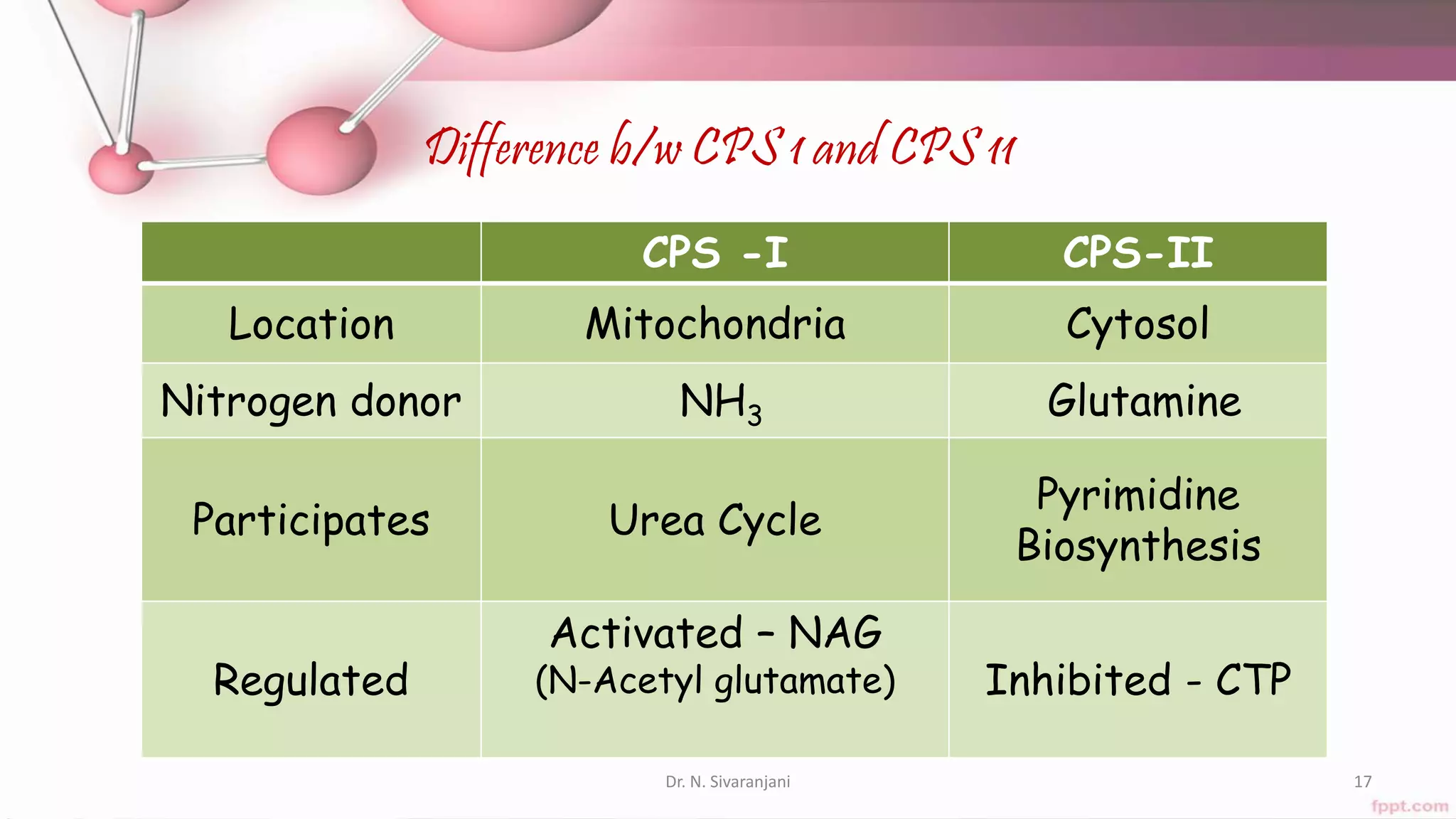 Urea cycle and its disorders | PPSX