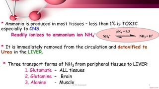 Urea cycle and its disorders | PPSX