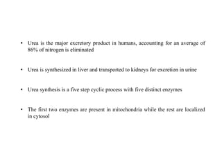 Urea cycle | PPTX