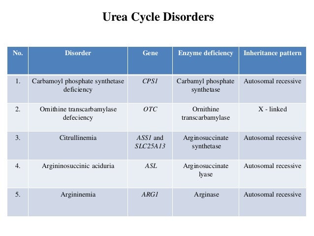 Urea cycle