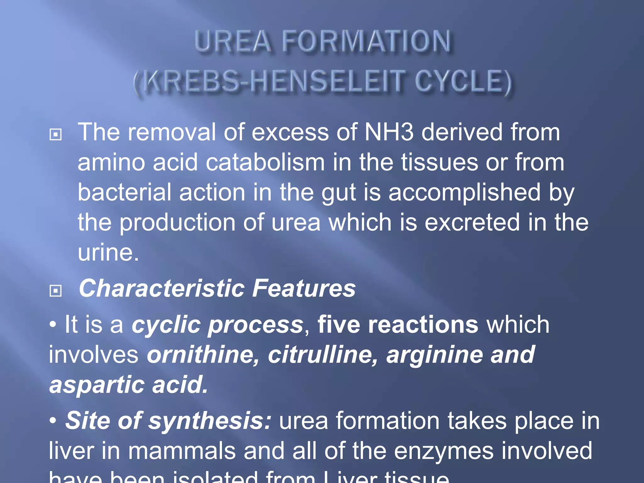 Urea cycle | PPTX | Chemistry | Science