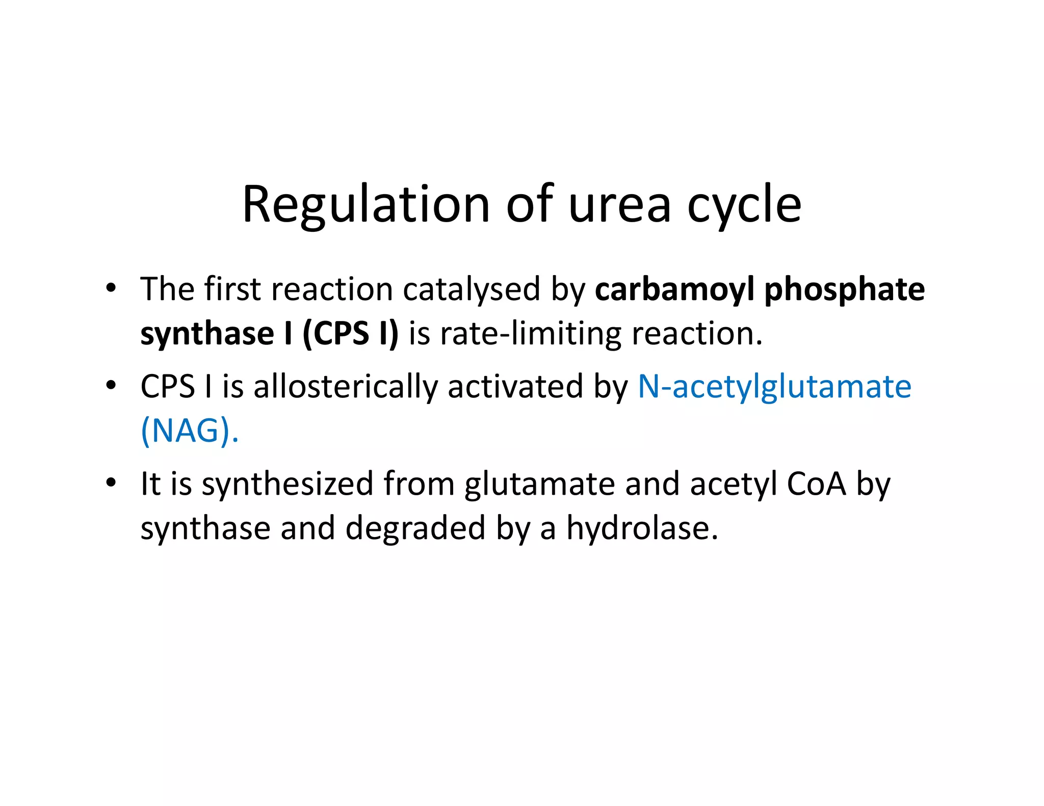 Urea Cycle | Energetics of Urea Cycle | Regulation of Urea Cycle ...