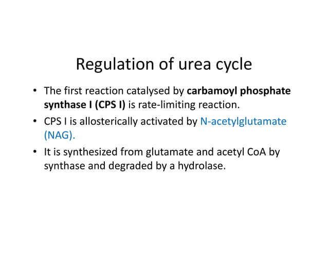 Urea Cycle | Energetics of Urea Cycle | Regulation of Urea Cycle ...