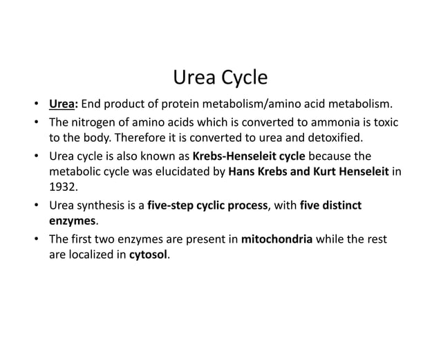 Urea Cycle | Energetics of Urea Cycle | Regulation of Urea Cycle ...