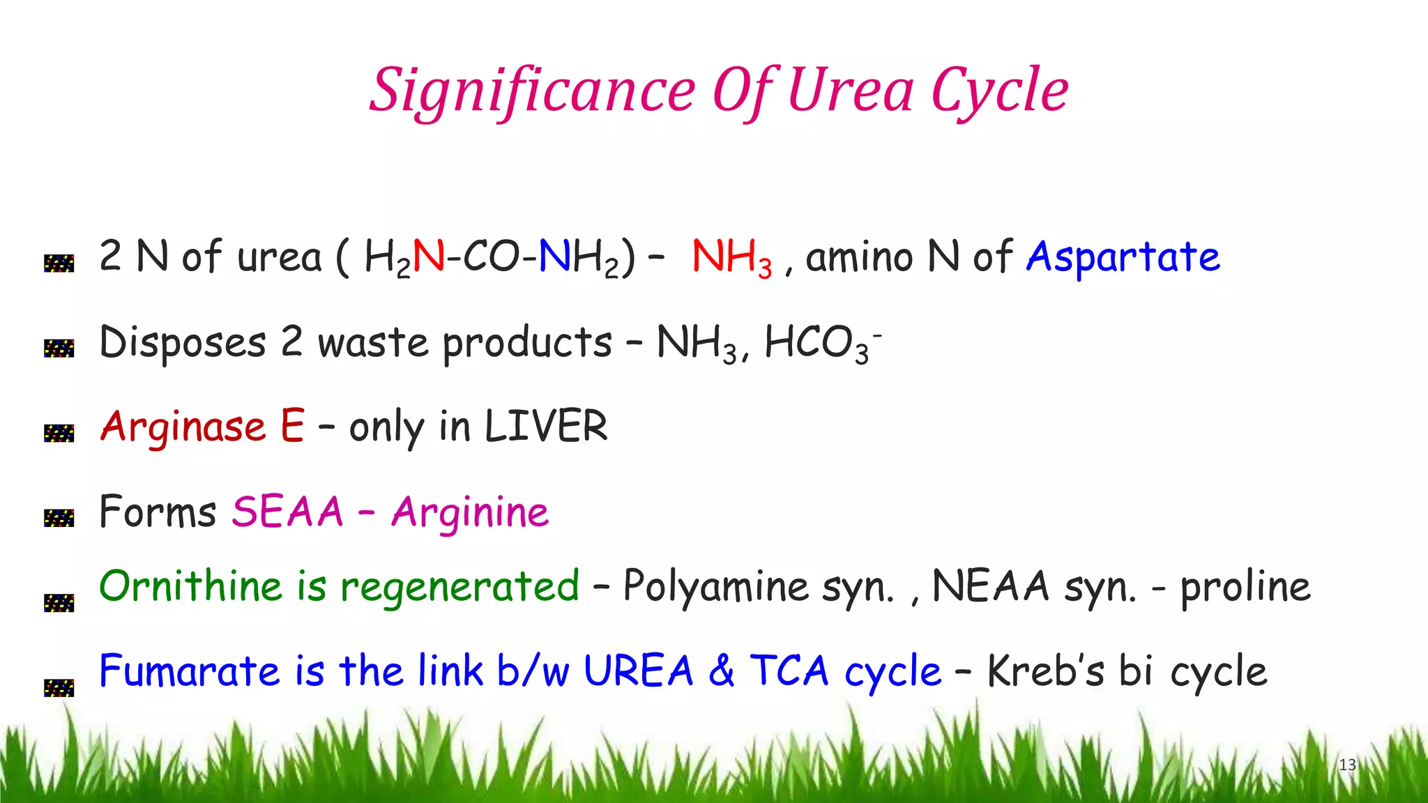 Urea cycle | PPTX