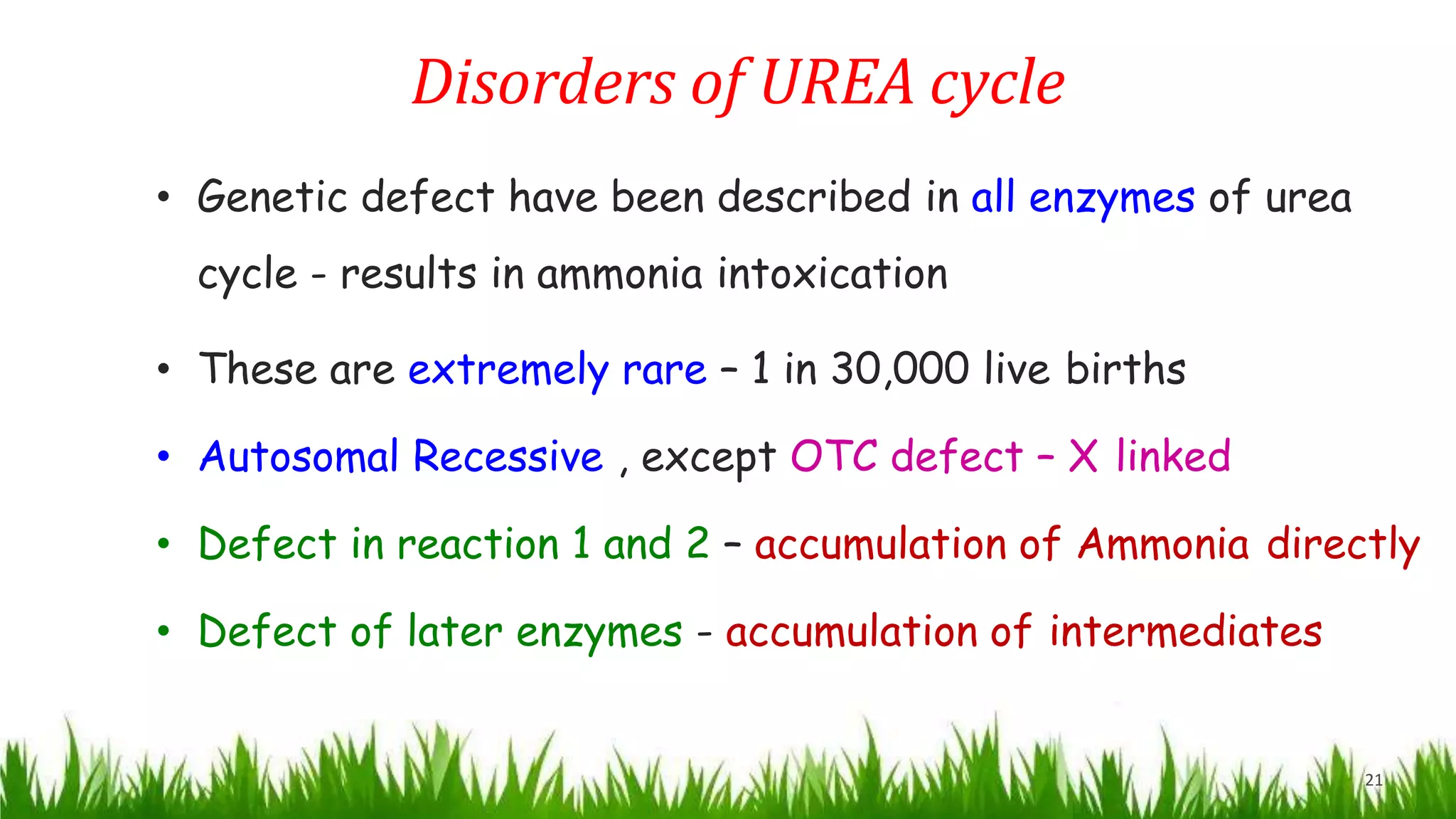 Urea cycle | PPTX