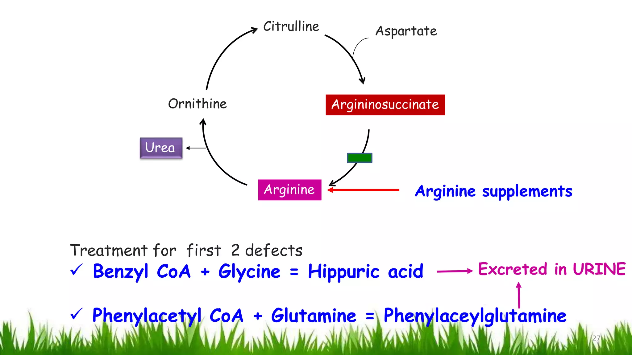 Urea cycle | PPTX
