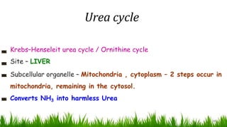 Urea cycle | PPTX