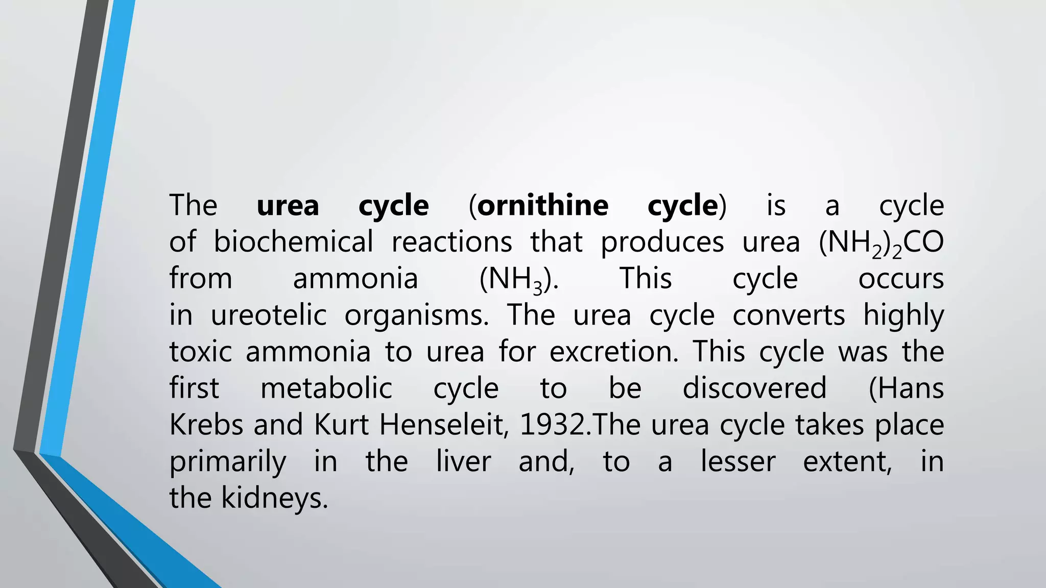 Urea cycle | PPTX